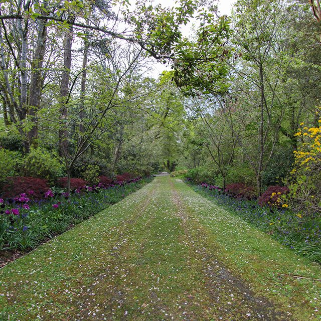 Inish Beg Estate - Gardens · Woodlands