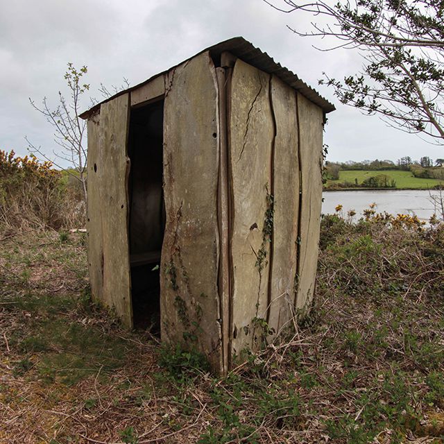 Birdwatching Holidays & Other Wildlife at Inish Beg