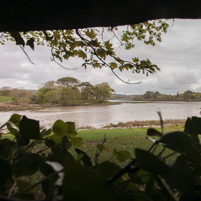 Birdwatching Holidays & Other Wildlife at Inish Beg