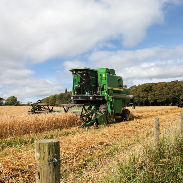 Inish Beg Estate - Organic Farming at Inish Beg