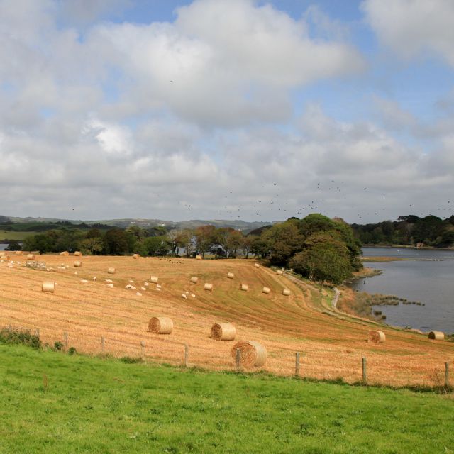 Inish Beg Estate - Organic Farming at Inish Beg